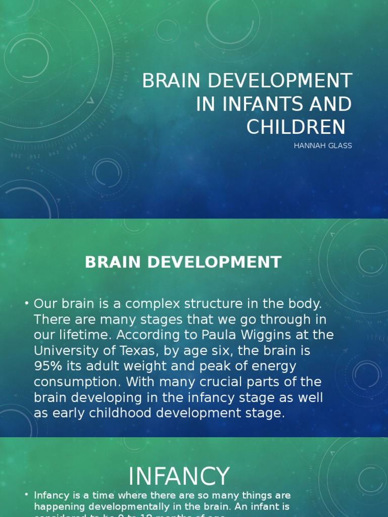 Brain Development | PDF | Child Development | Relationships