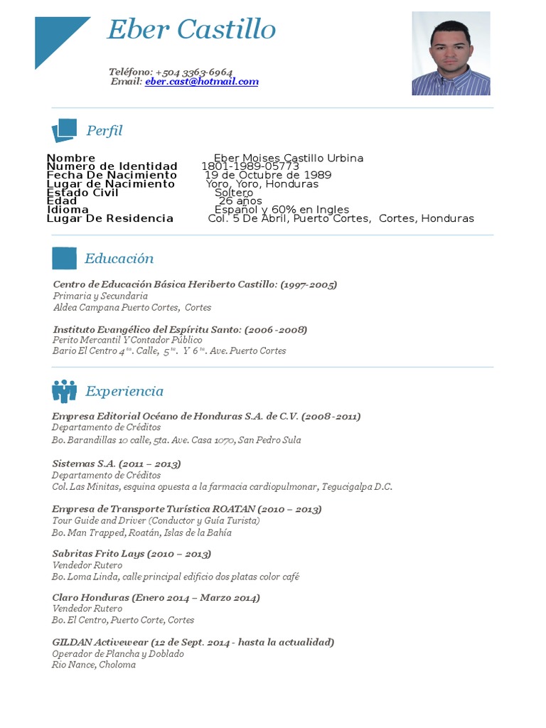 Perfil Profesional de Eber Castillo | PDF