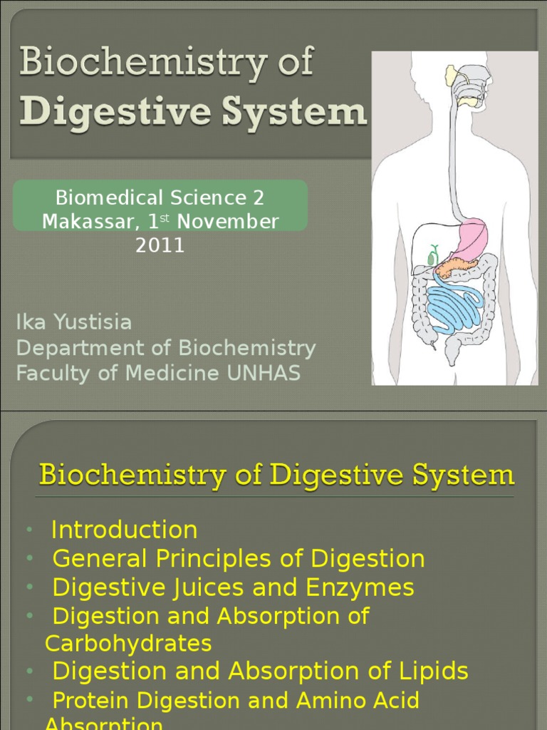 Biochemistry of Digestive System | PDF | Digestion | Trypsin