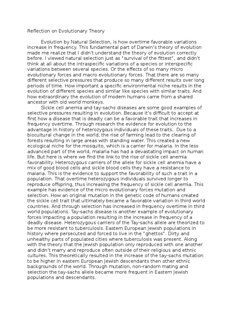 Reflection On Evolutionary Theory | PDF | Homo | Human Evolution
