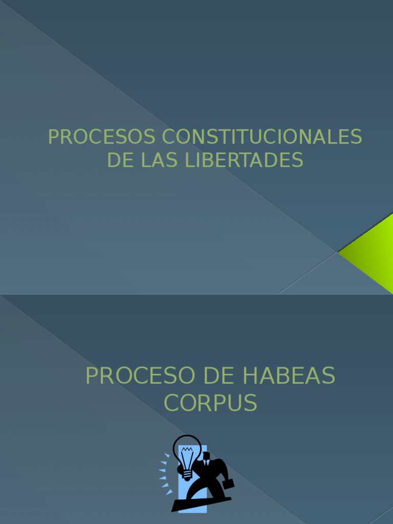 Procesos Constitucionales Perú Pdf Habeas Corpus Constitución