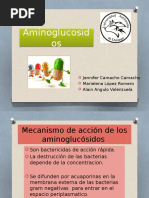 Paramox Inserto WEB | PDF | Diarrea | Microbiología