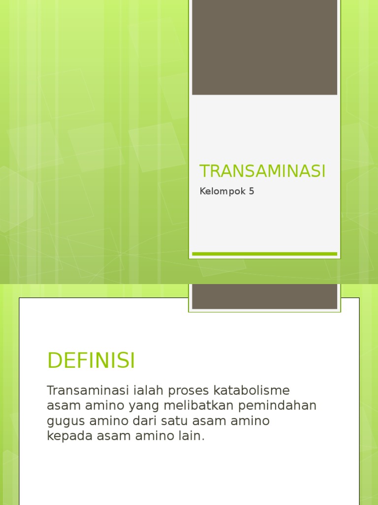 Transaminasi | PDF