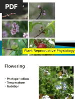 Mulder S Chart | PDF | Plant Nutrition | Nutrients