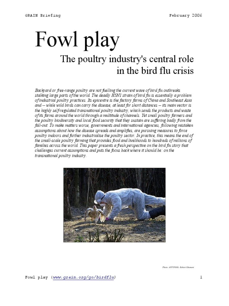 Bird Flu 2006 | PDF | Avian Influenza | Influenza A Virus Subtype H5 N1