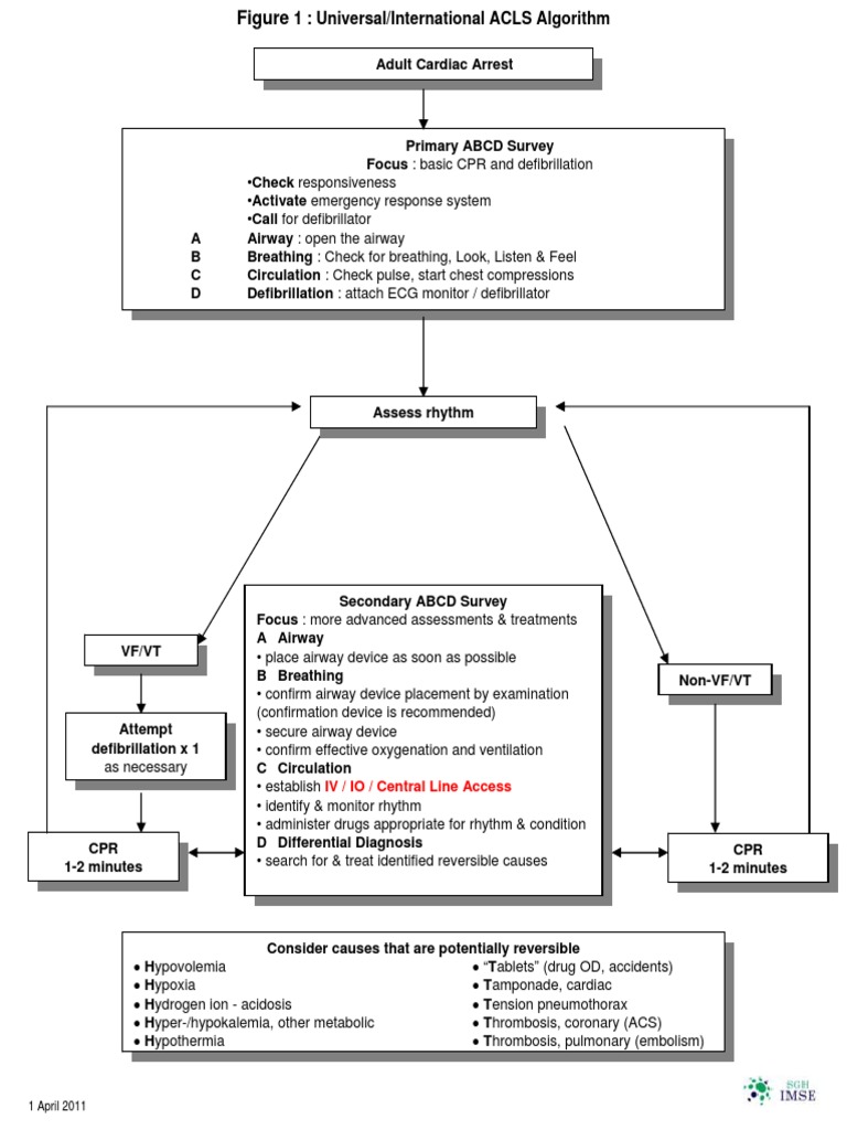 ACLS Algorithms 2011 PDF | PDF | Cardiopulmonary Resuscitation ...