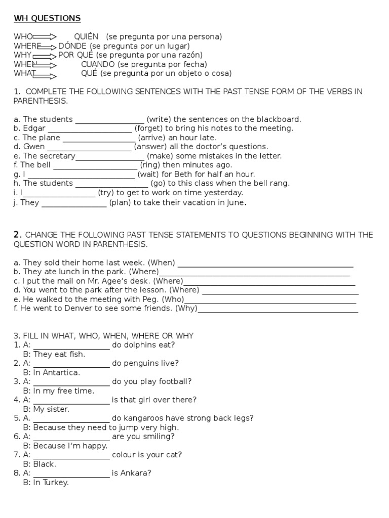 Past Simple WH Questions Worksheet | PDF
