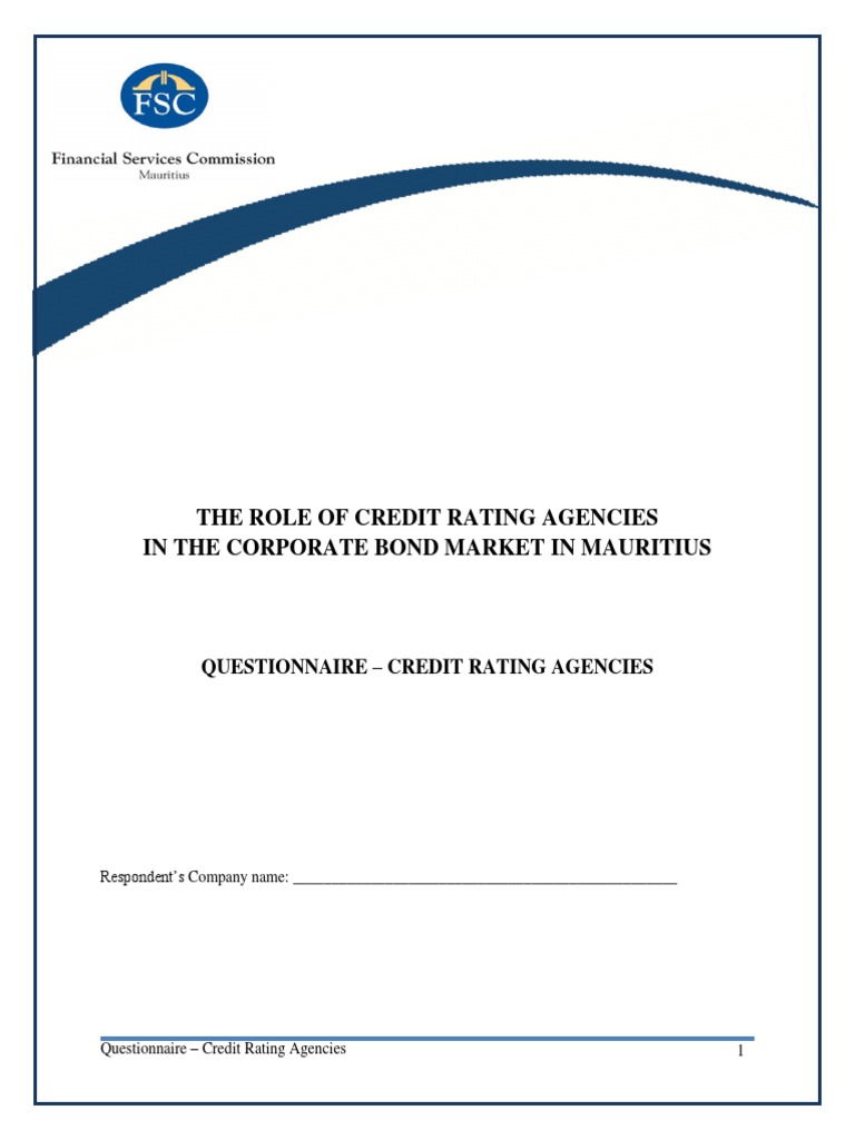 Questionnaire Credit Rating Agencies | PDF