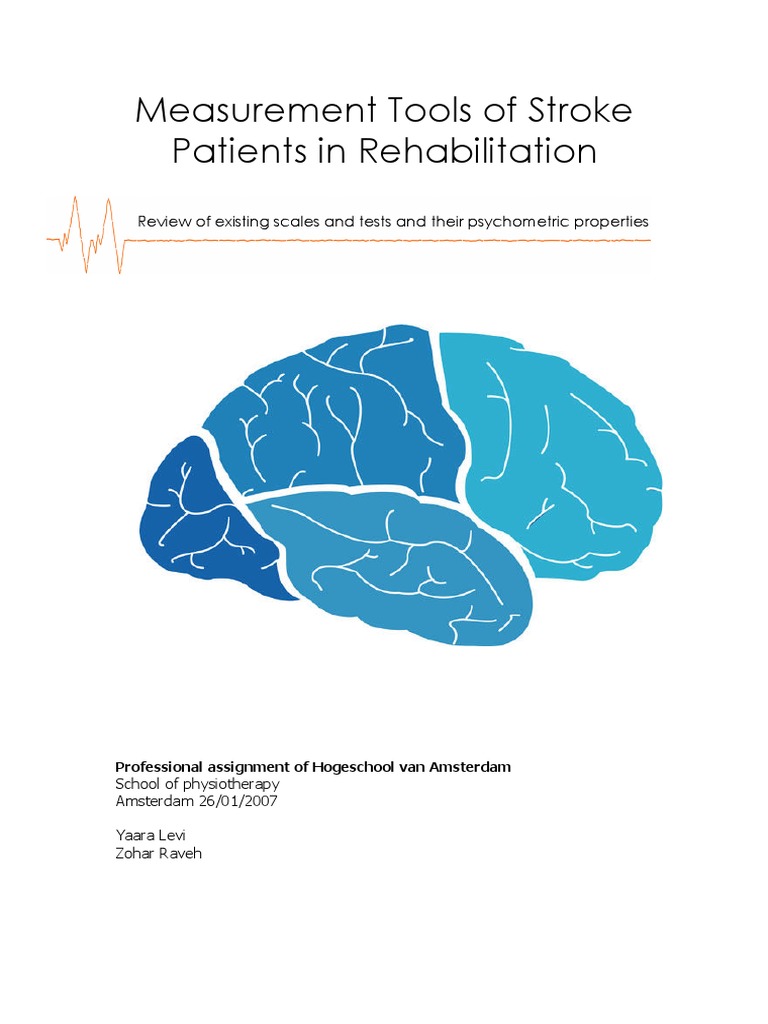 Stroke Rehabilitation Measurement Tools | PDF | Validity (Statistics ...