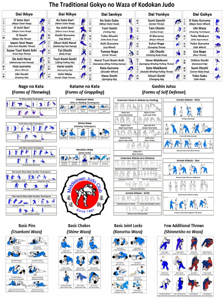 Gokyo no Waza Techniques in Judo | PDF | Japanese Martial Arts | Mixed ...