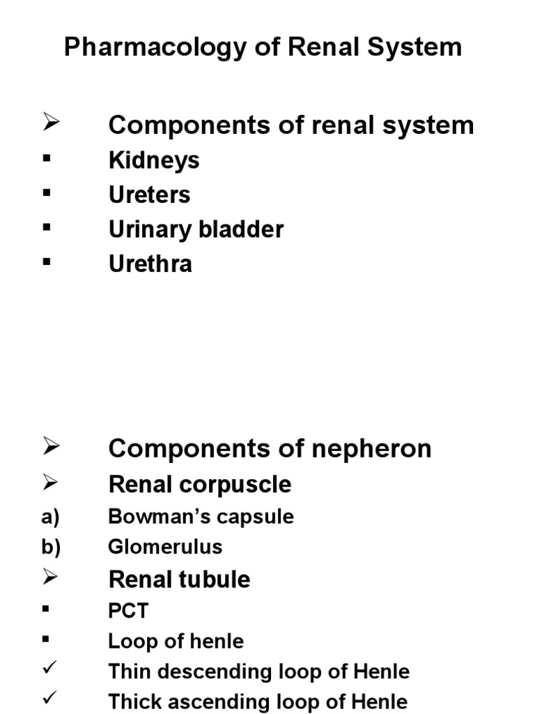 Pharmacology of Renal System Components of Renal System: Kidneys ...