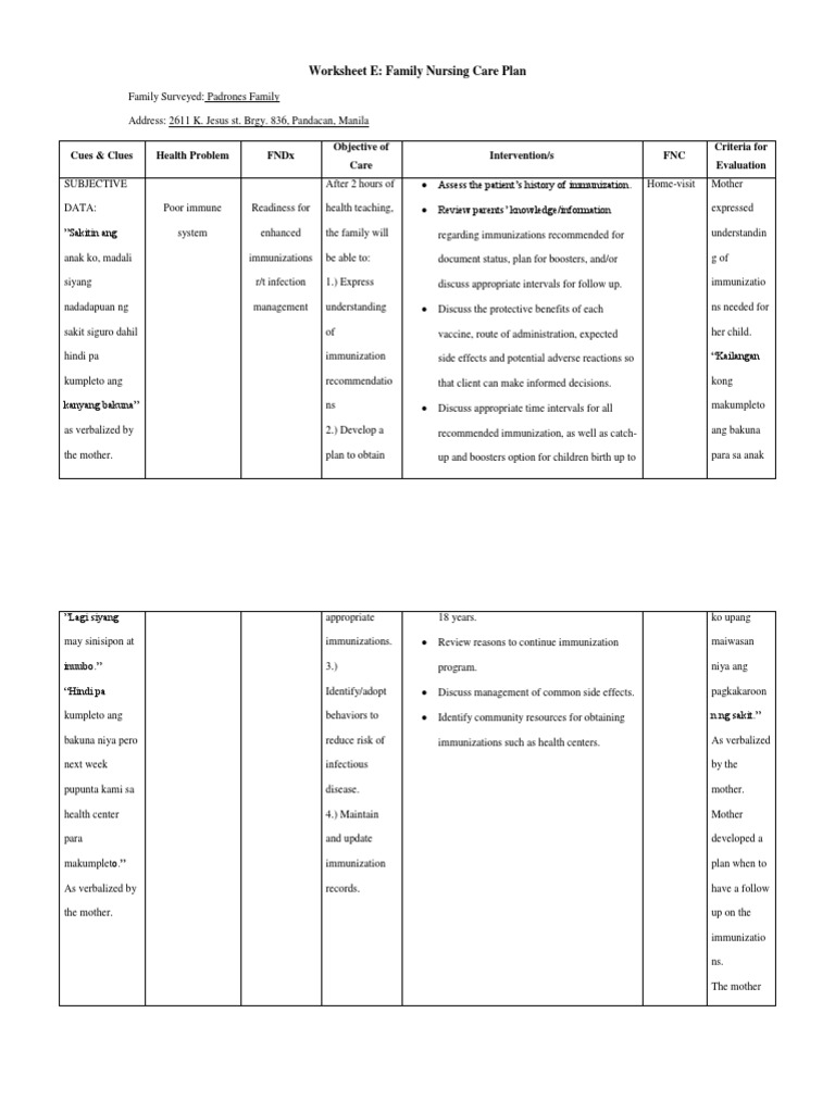 Family Nursing Care Plan Worksheet E | PDF