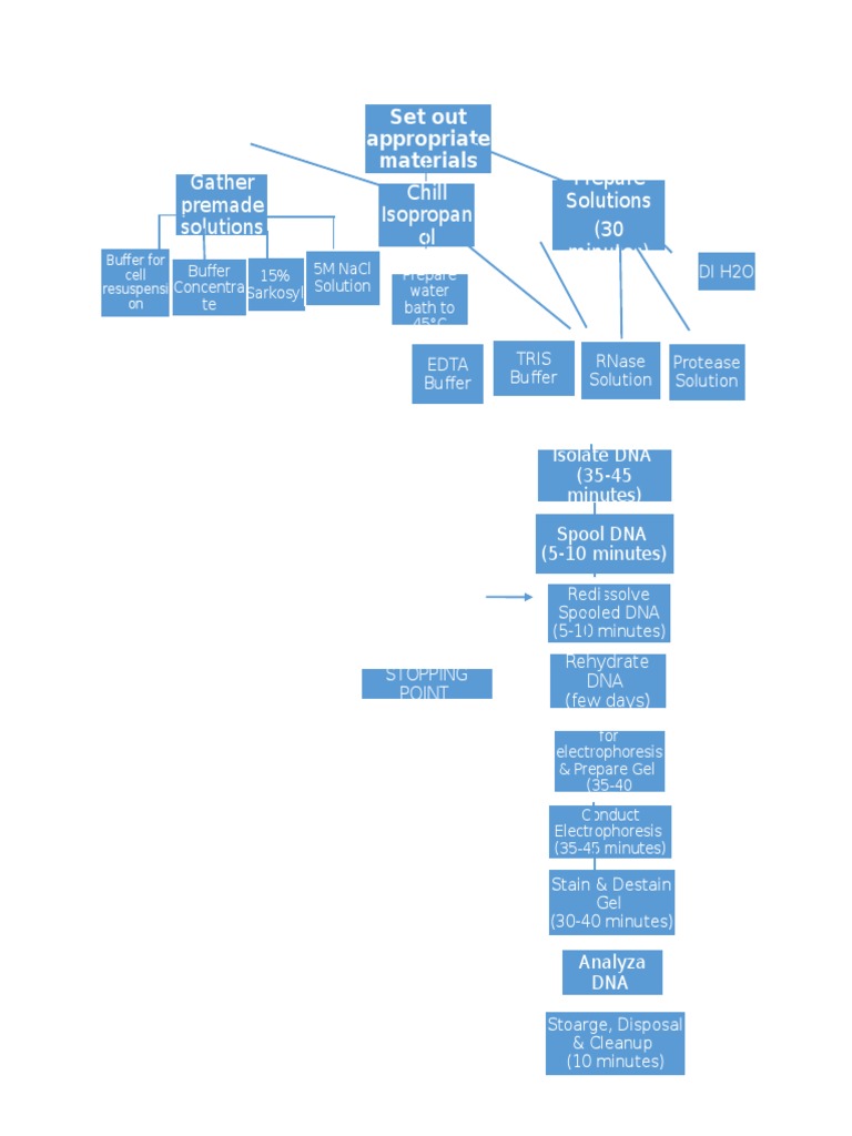 Biotech Flow Chart | PDF