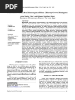 MRI With MR Fistulogram For Perianal Fistula - A Successful Combination ...