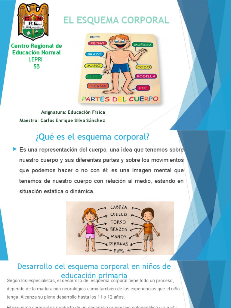 Esquema Corporal. | PDF | Percepción | Conceptos psicologicos