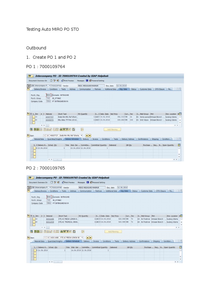 Auto MIRO PO Testing and Errors | PDF
