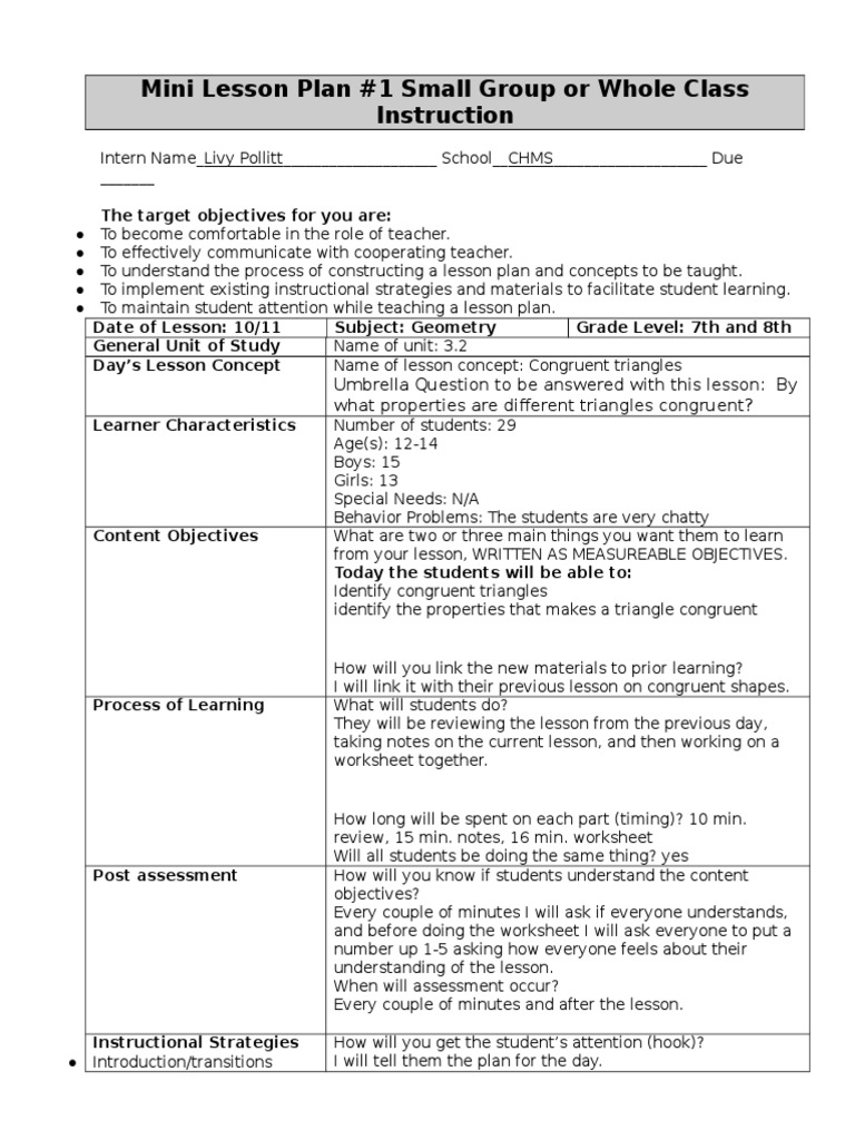 Mini Lesson Plan #1 Small Group or Whole Class Instruction | PDF ...