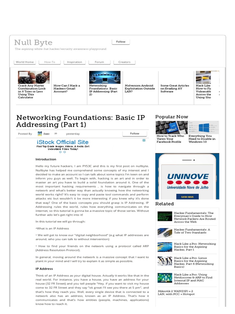 Null Byte: Networking Foundations: Basic IP Addressing (Part 1) | PDF | Ip Address | Computer ...