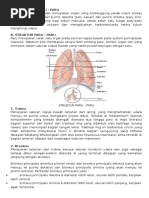 Diseksi Virtual Anatomi Paru-paru | PDF