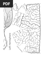 Brain Hemisphere Hat | PDF | Cerebral Hemisphere | Neuroanatomy