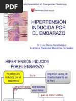 Ensayo Sulfato de Magnesio-Esquema Zuspan | PDF | Astrocito | Inflamación