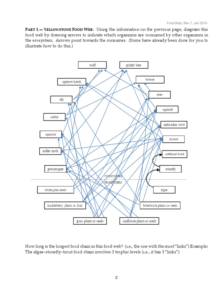 Yellowstone Food Web