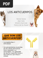 Perfil ENA y detección de autoanticuerpos | PDF | Anticuerpo | Bioquímica