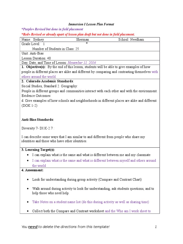 immersion i lesson plan anti bias revised with evaluation | Lesson Plan ...