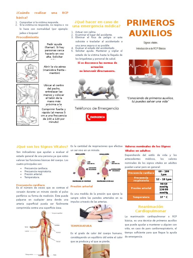Triptico - Primeros Auxilios | PDF | Reanimación cardiopulmonar | Presión sanguínea