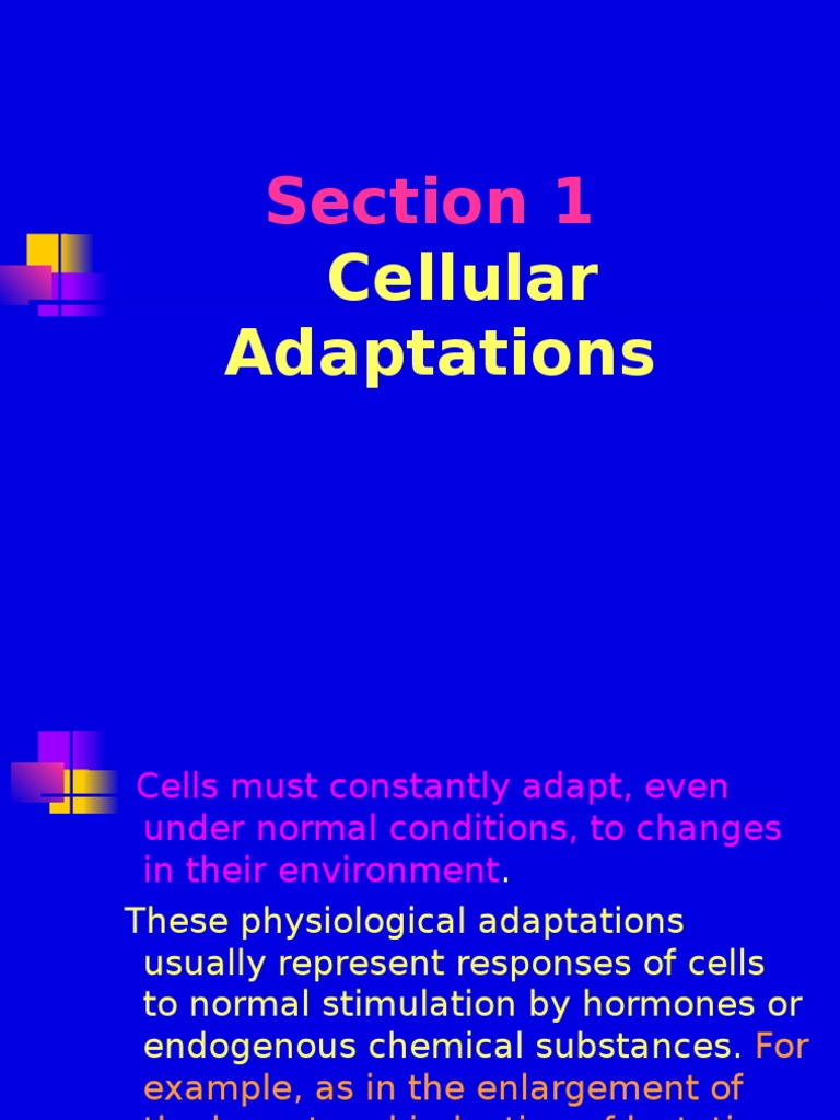 Section 1: Cellular Adaptations | PDF | Epithelium | Anatomy