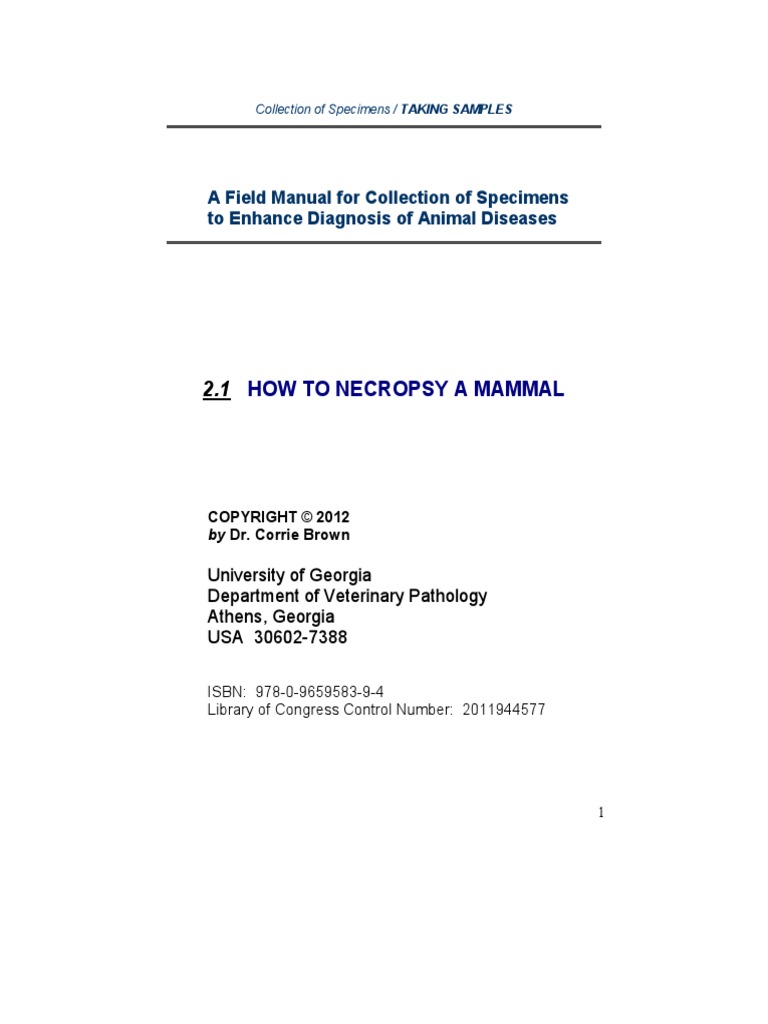 How To Necropsy A Mammal | PDF | Gastrointestinal Tract | Heart Valve