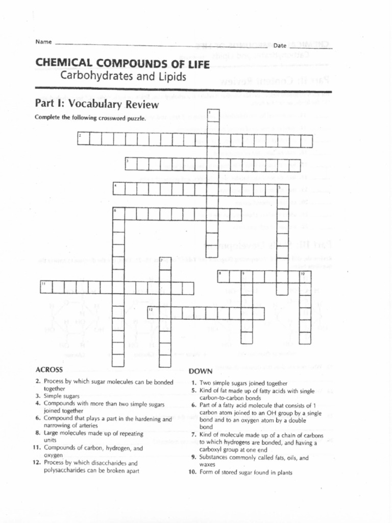 Chemical Compounds of Life | PDF