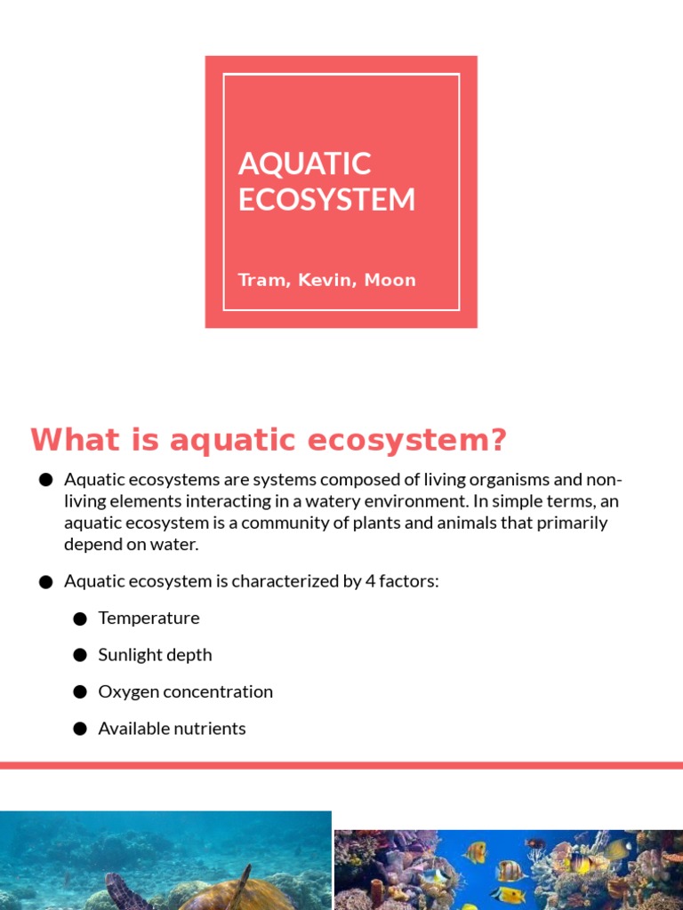 Aquatic Ecosystem | PDF | Aquatic Ecosystem | Oceanography