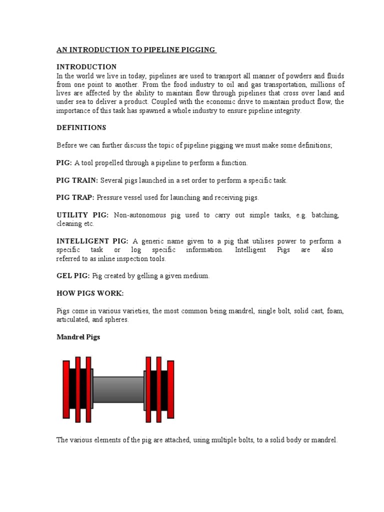 An Introduction To Pipeline Pigging | PDF | Pipeline Transport | Gel