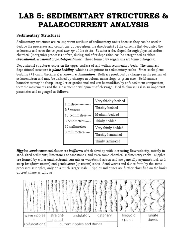 Sedimentary Structure | PDF | Sedimentary Rock | Sedimentology