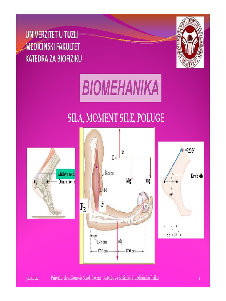 Sila Moment Sile Poluge | PDF