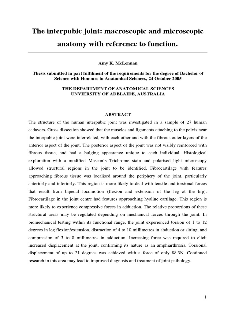 The Interpubic Joint Macroscopic and Mic PDF | PDF