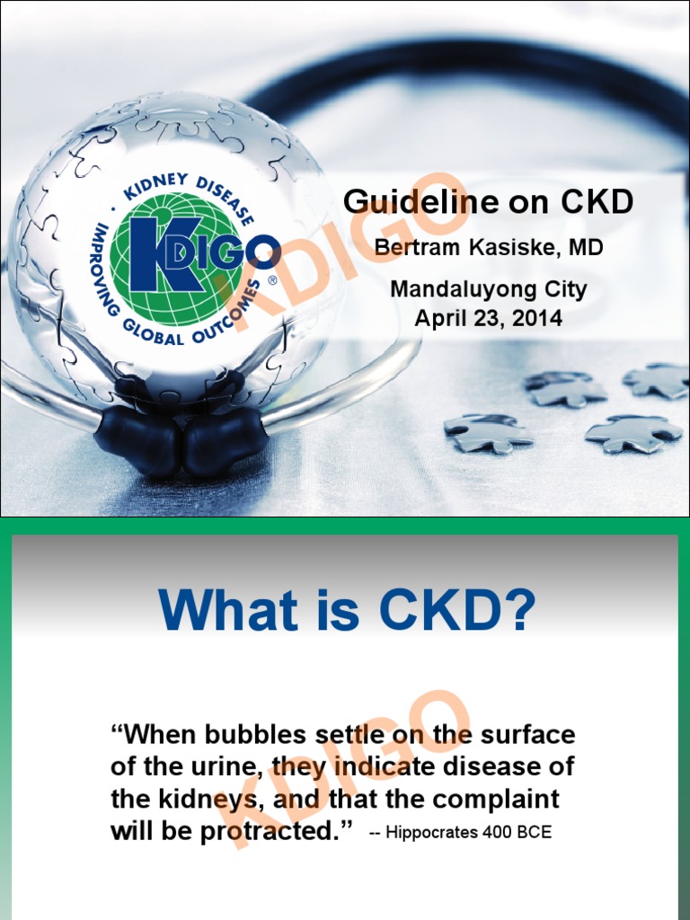 CKD Guidelines for Global Outcomes | PDF | Chronic Kidney Disease ...