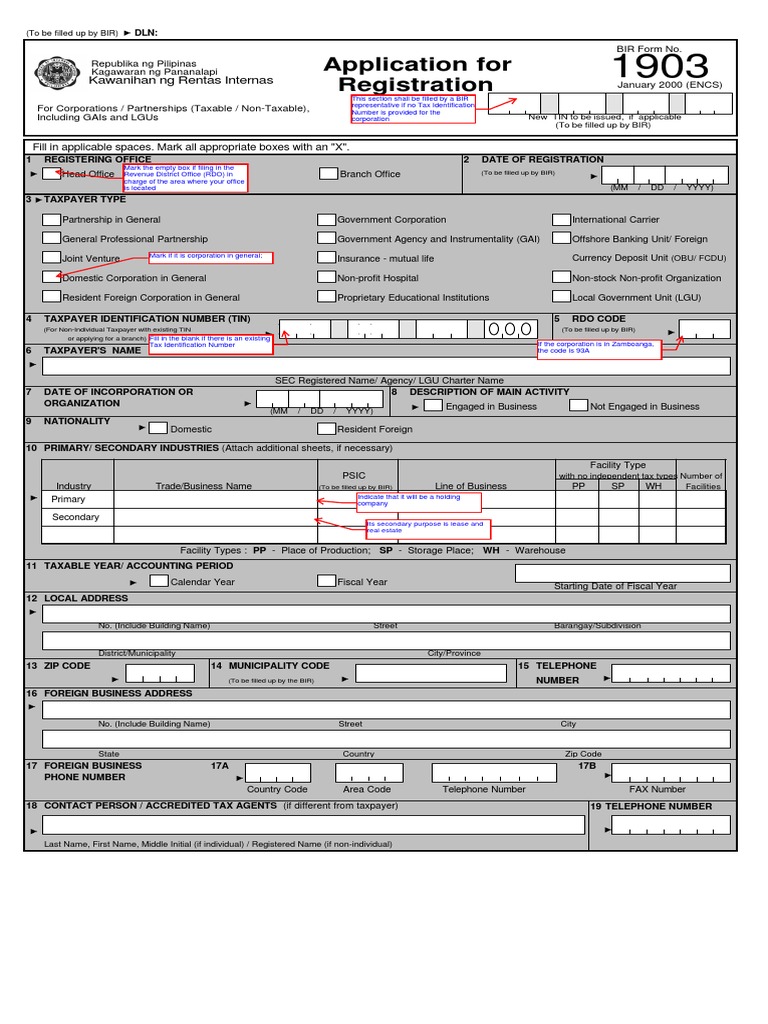 BIR Form 1903 | PDF | Capital Gains Tax | Fiscal Year