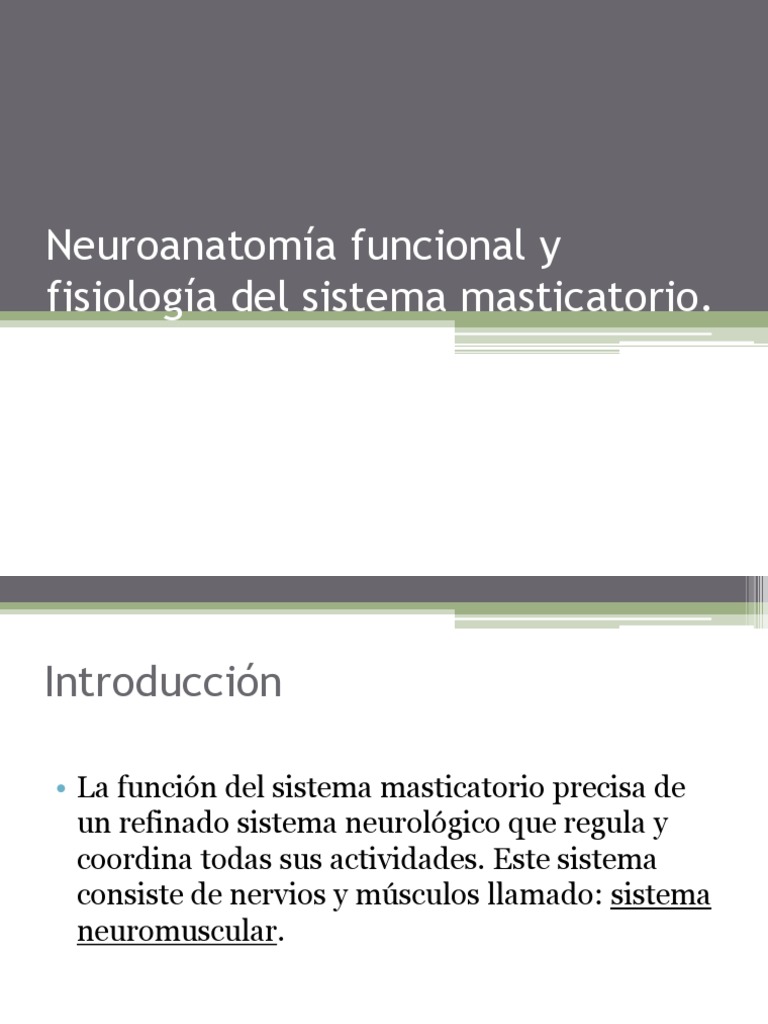 Neuroanatoma Funcional y Fisiologa Del Sistema Masticatorio | PDF | Dolor | Músculo