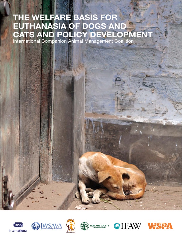 Euthanasia Policy for Companion Animals | PDF | Animal Welfare ...
