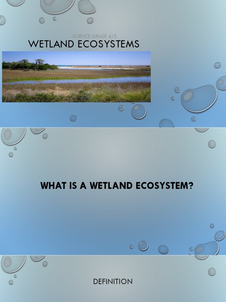 Wetland Ecosystems | PDF