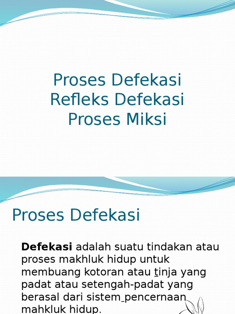Proses Defekasi | PDF