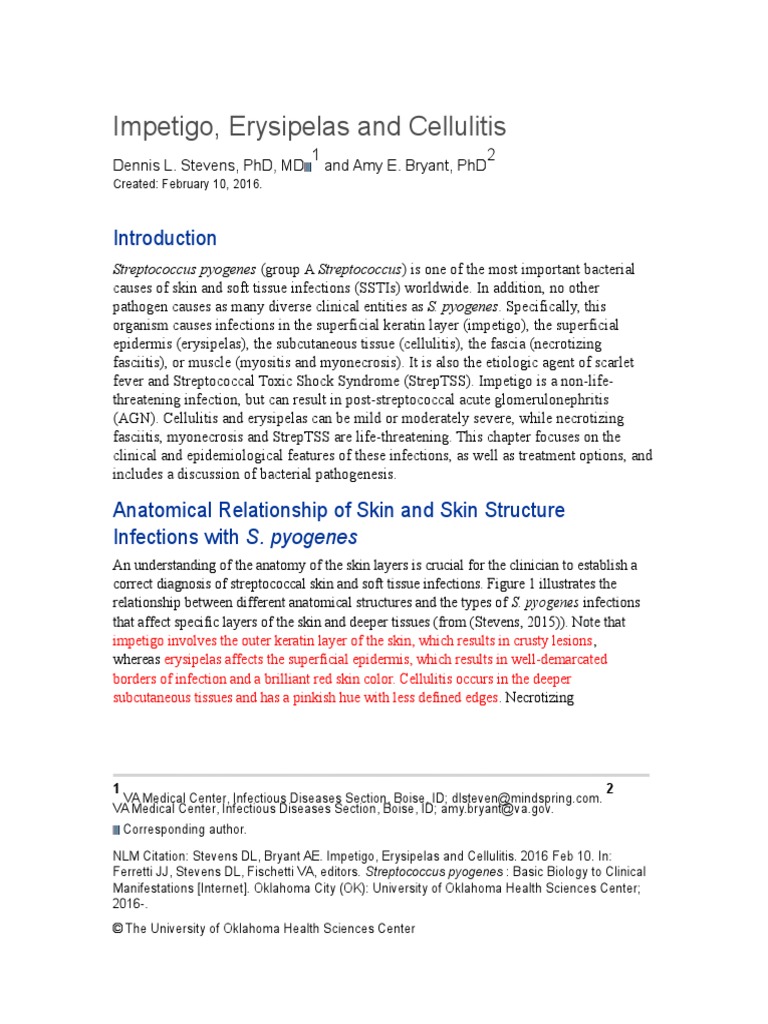 Impetigo, Erysipelas, and Celuulitis | PDF | Streptococcus | Infection