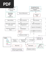 Pathophysiology of Pneumonia | PDF