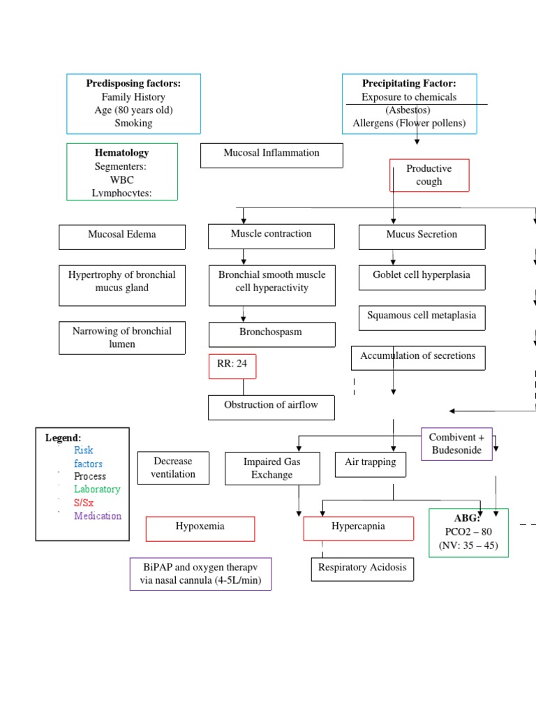Pathophysiology of Acute Bronchial Asthma | PDF