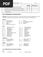 RDR2 Complete Equipment Compendium | PDF | Revolver | Shotgun