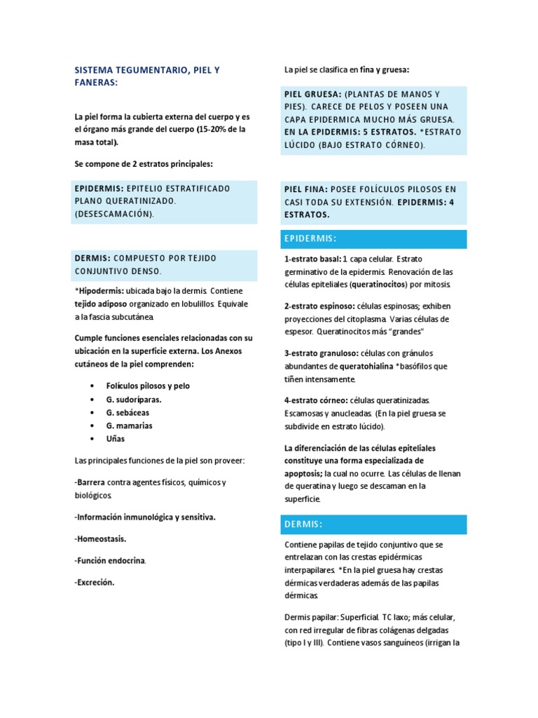Sistema Tegumentario (ROSS) | PDF | Piel | Epidermis