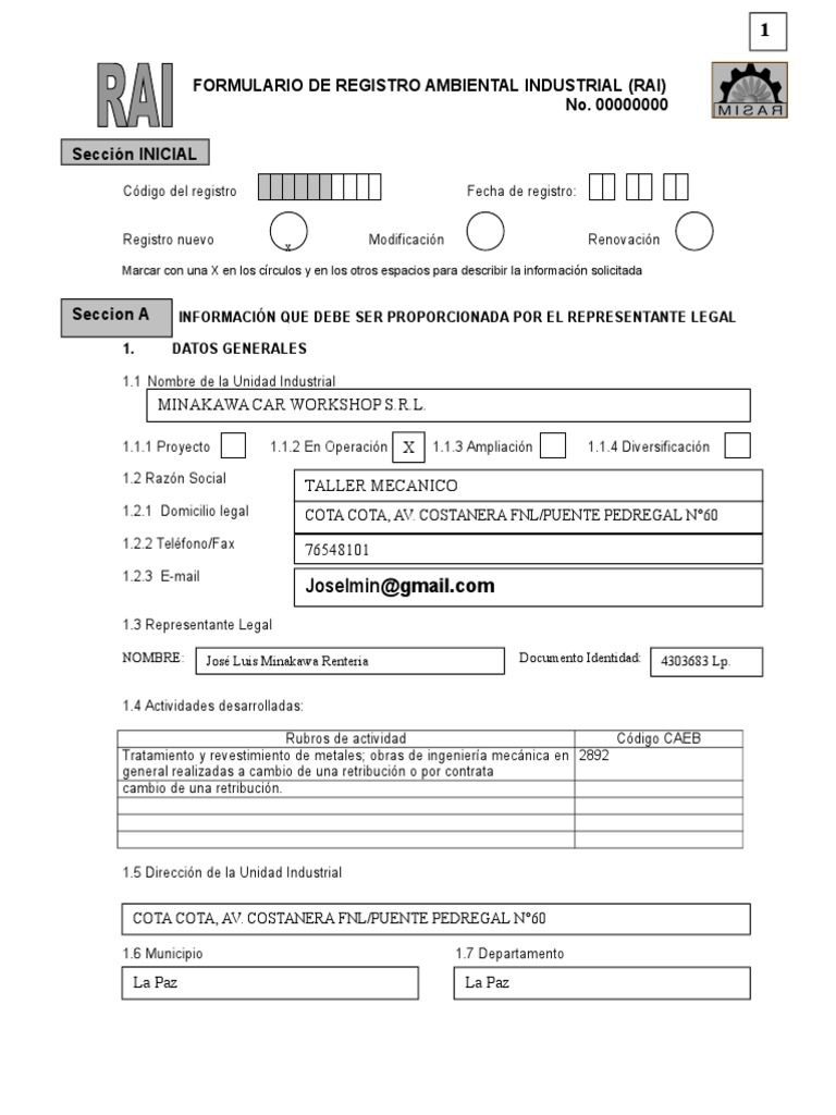 Formulario Rai | PDF | Información | Energía y recursos