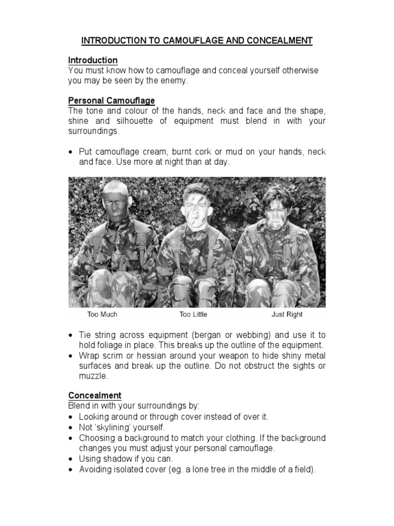Introduction To Camouflage and Concealment PDF | PDF